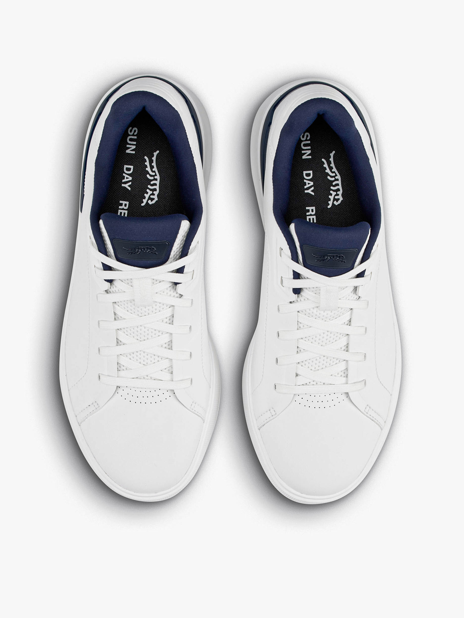 Sun Day Red Osprey | Sun Day Red