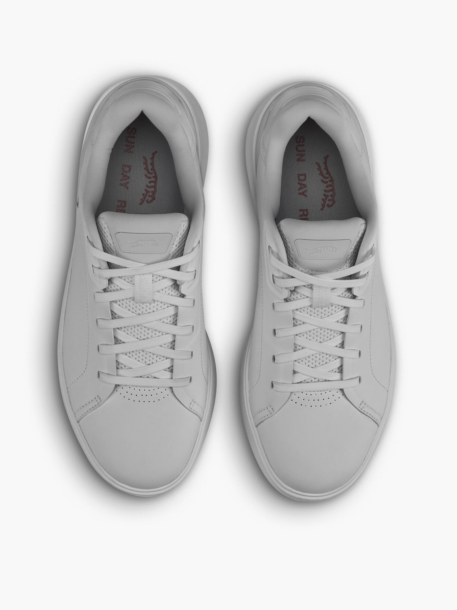 Sun Day Red Osprey | Sun Day Red